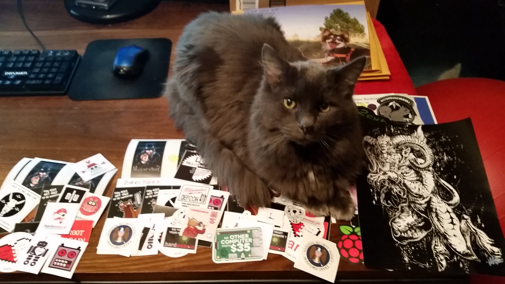 Ad-hoc Charity Type Things – Rants of a deranged squirrel.